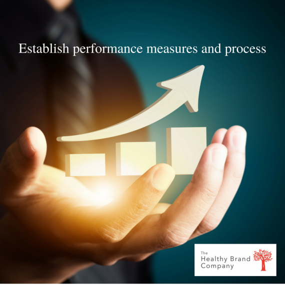 Establish performance measures and process - The Healthy Brand Company