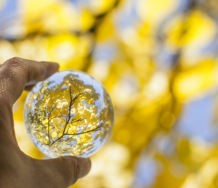 The Future is Bright for Business and Brands: Through the Lens of ...